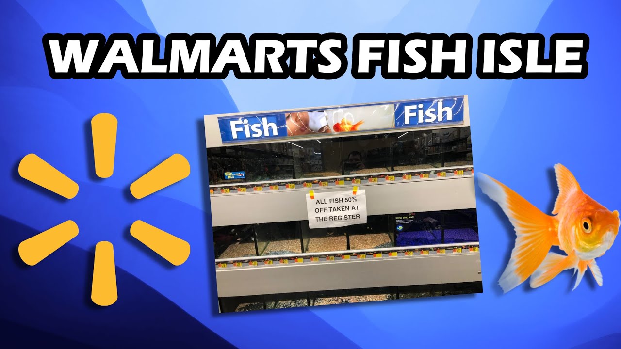 What Happened To Fish At Walmart? - YouTube