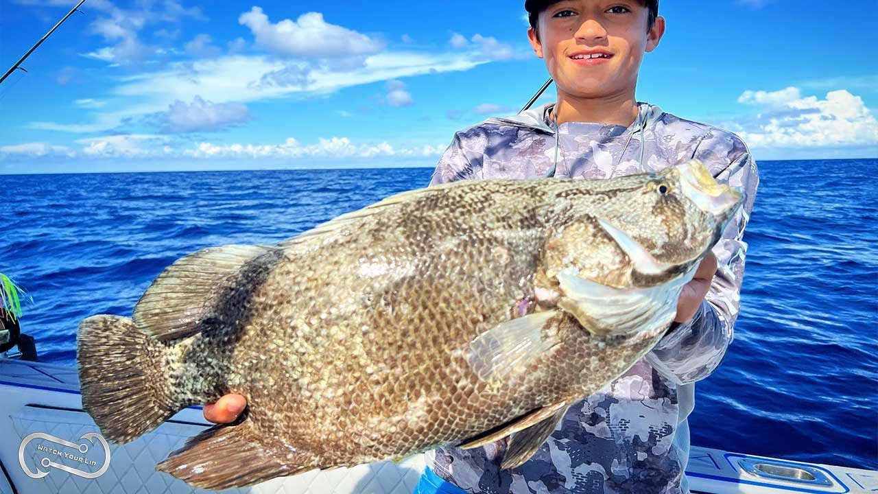 CATCHING TRIPLE TAIL MAHI AND JACKS WHILE FISHING FOR SWORD FISH - YouTube