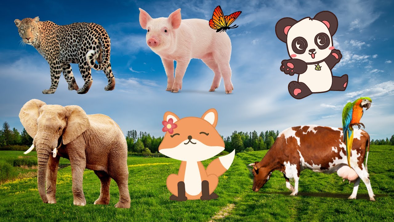 Playful barnyard animals: Bear, Cow - Soothing Wildlife Sounds for ...
