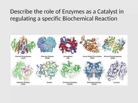 Can Reactions Still Occur Without Enzymes