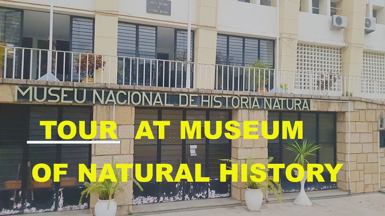 TOUR AT MUSEUM OF NATURAL HISTORY - LUANDA - YouTube