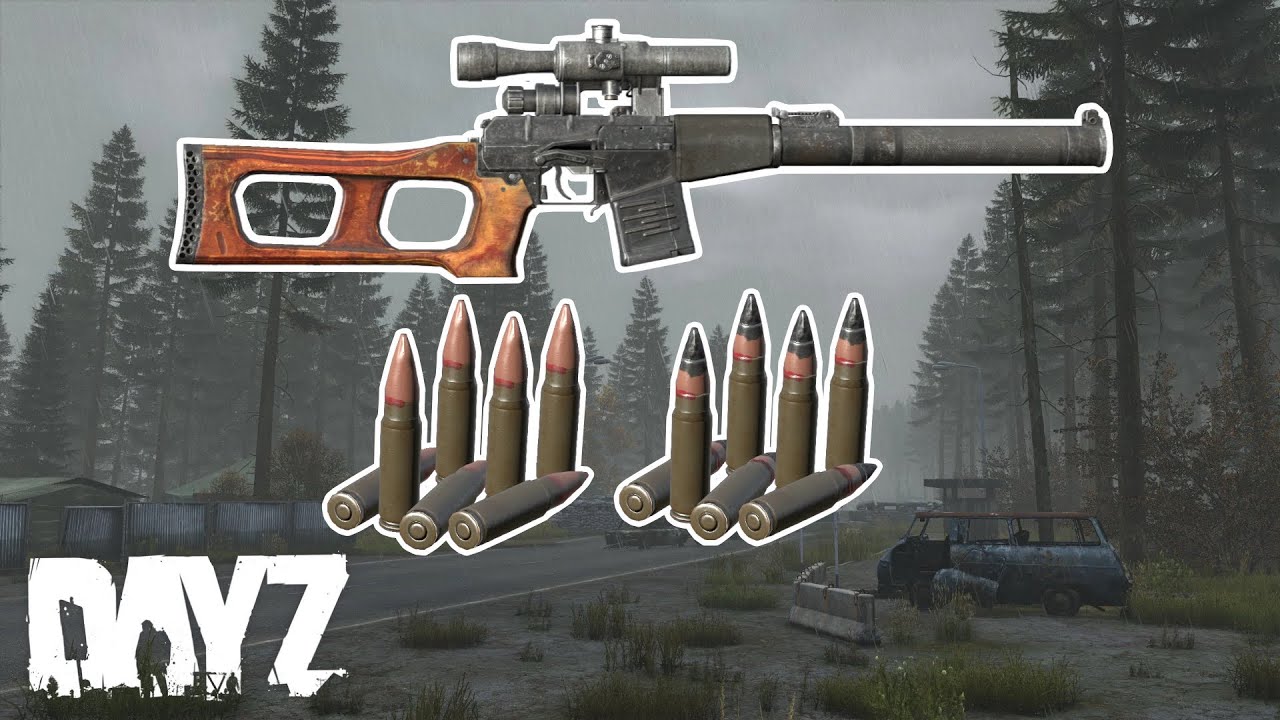 9x39 vs 9x39 AP In DayZ (Is It Worth it?) - YouTube