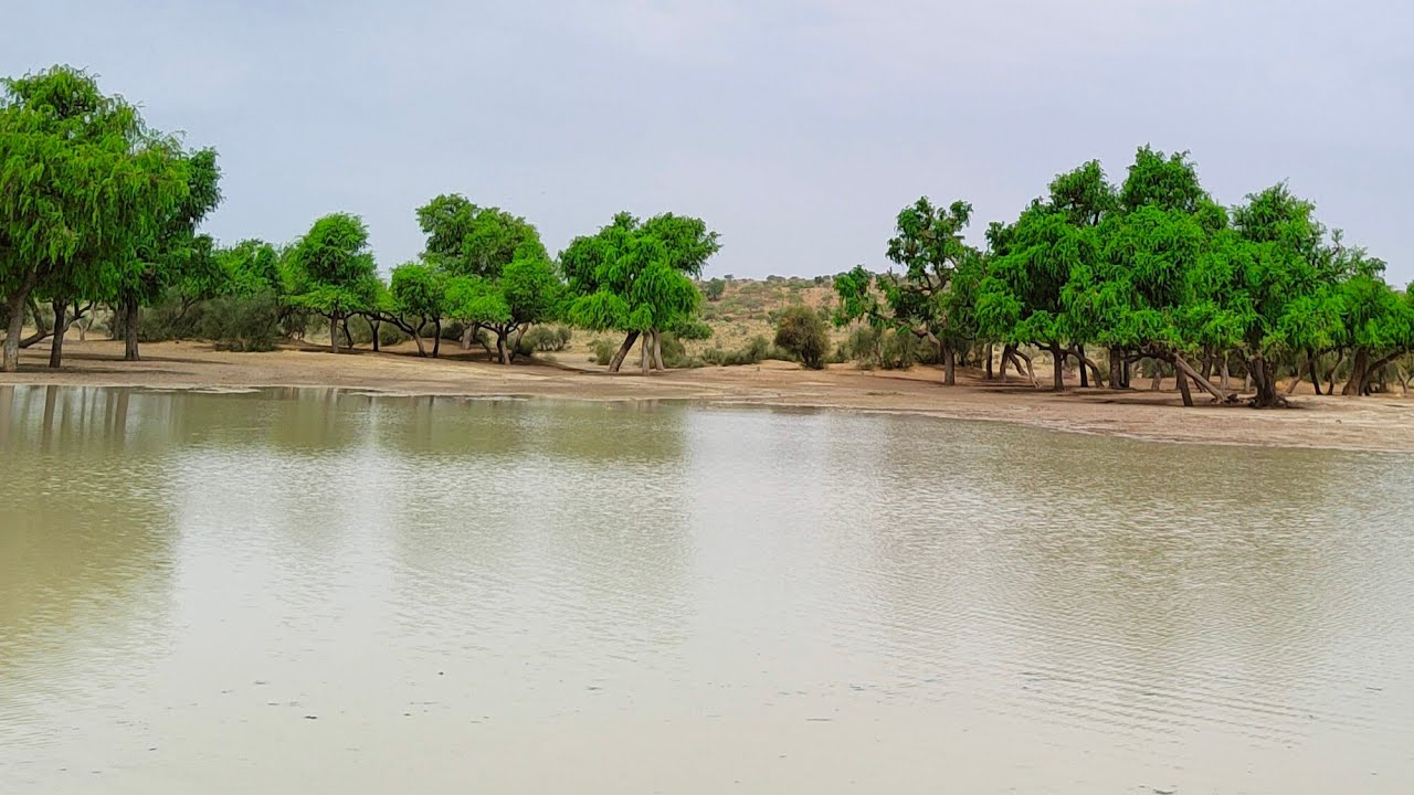 Rain in Thar|Thar Desert|Rain in Sindh|Thar After Rain|Rainy season ...