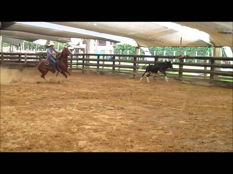 Team Peaning equipo de Brasil - YouTube