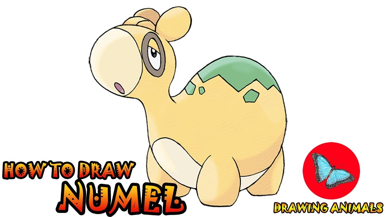How To Draw Numel Pokemon | Coloring and Drawing For Kids - YouTube