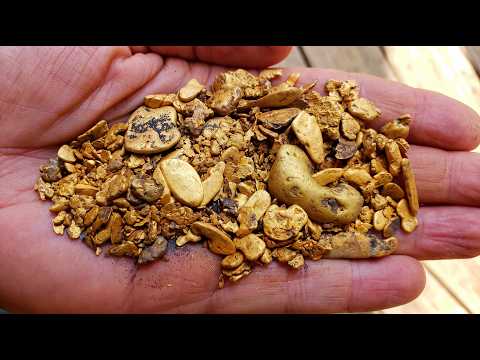 WOW! Amazing Gold Discovery in a Remote River | Gold Panning Adventure with Incredible Finds!