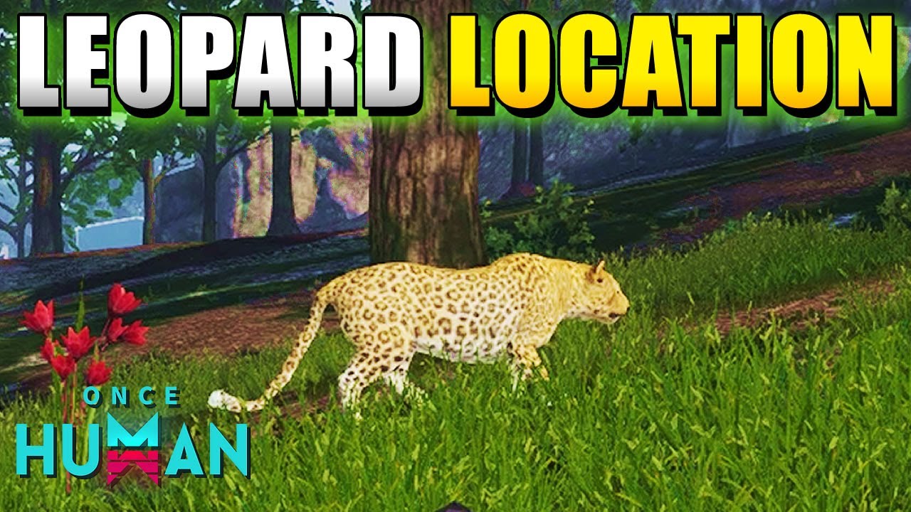 Once Human Where to Find Leopard Location (Tame Leopard) - YouTube