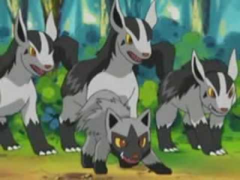 Tribute to Poochyena & Mightyena - She Wolf - YouTube