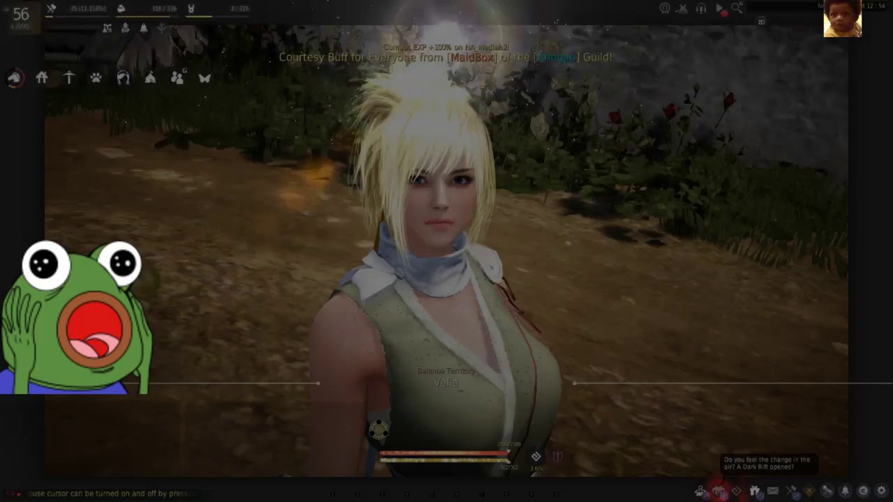 BDO UNDERWATER DUNGEON HIGHEST OF QUALITY CONTENT - YouTube