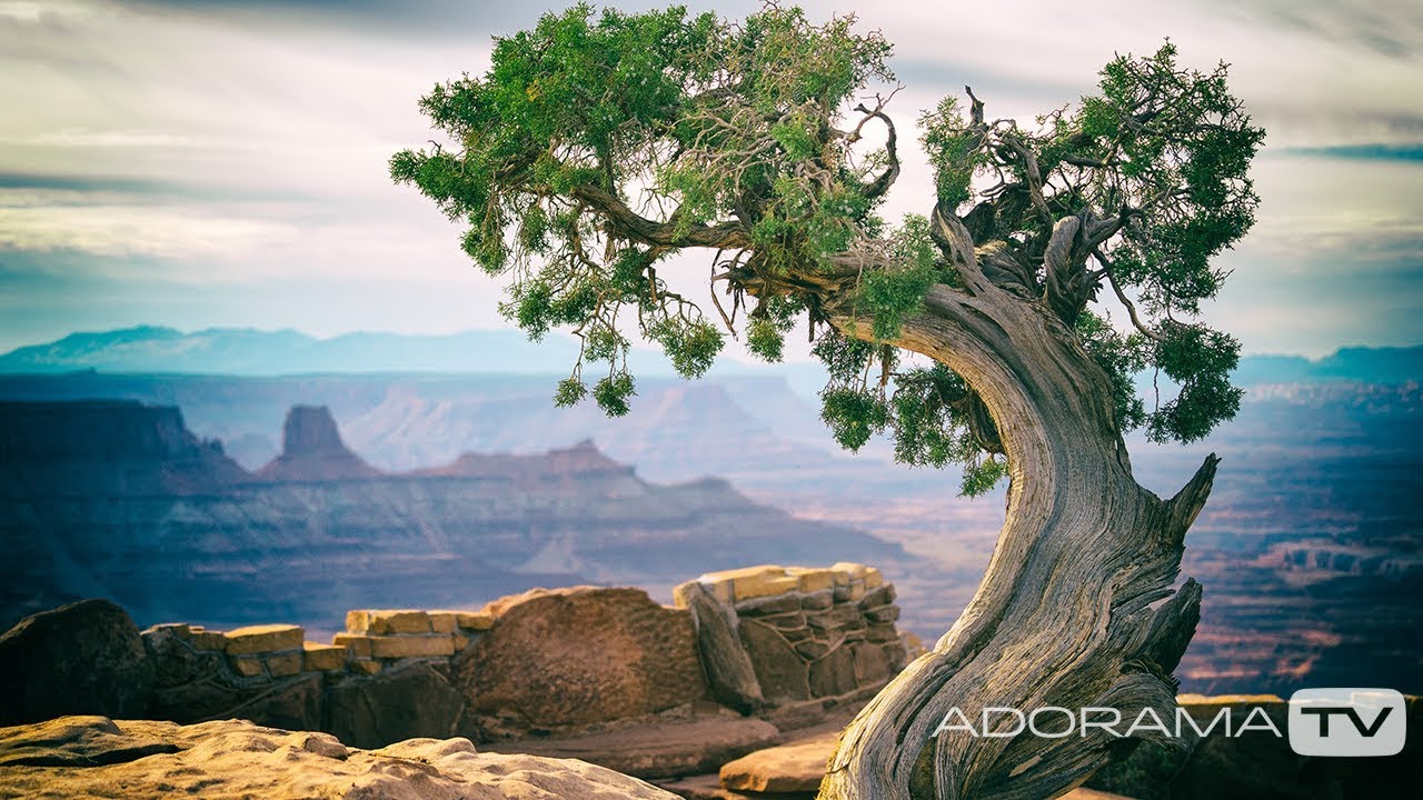 Mindful Photography with Brian Matiash: The reDefine Show with Tamara ...