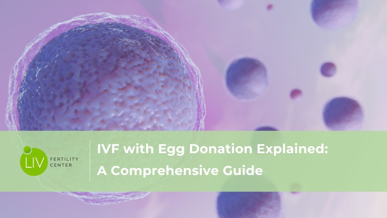 IVF with Egg Donation Explained: A Comprehensive Guide | LIV Fertility ...