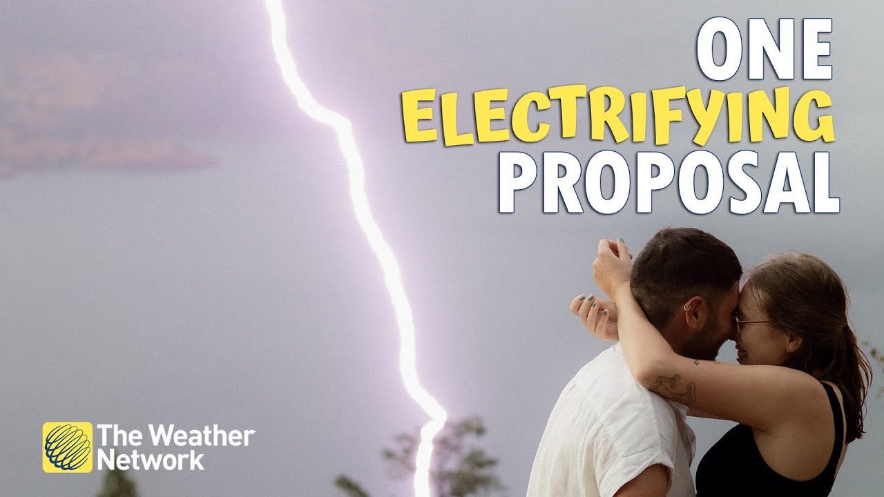 This Marriage Proposal Had a 'Shocking' Twist - YouTube