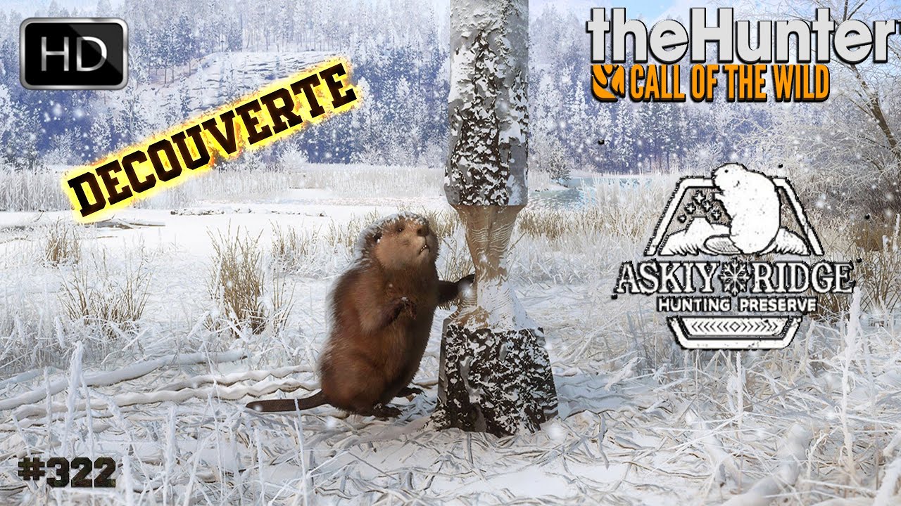 THEHUNTER CALL OF THE WILD #322 UNE CHASSE AU CASTOR SUR LA NOUVELLE ...