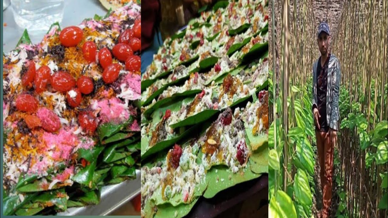 Pan Pata, Packaging Type: Bamboo Basket - YouTube