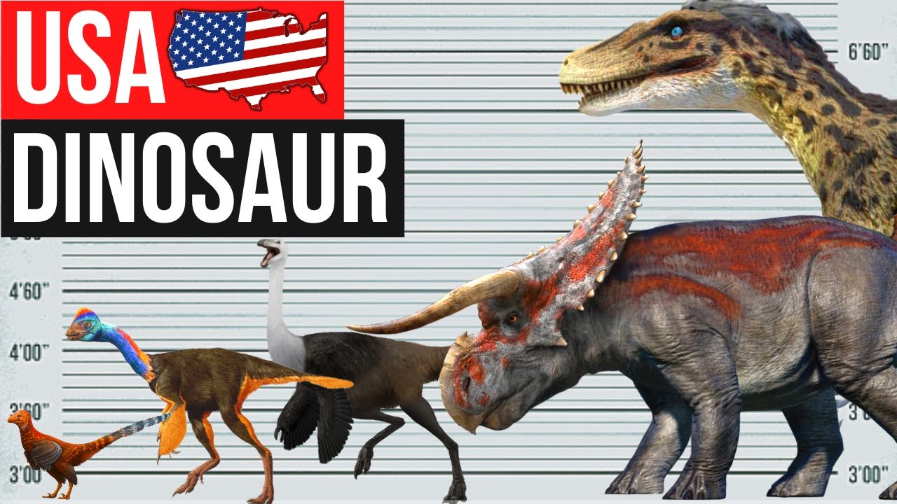Dinosaurs of USA (Utah) | Size Comparison - YouTube