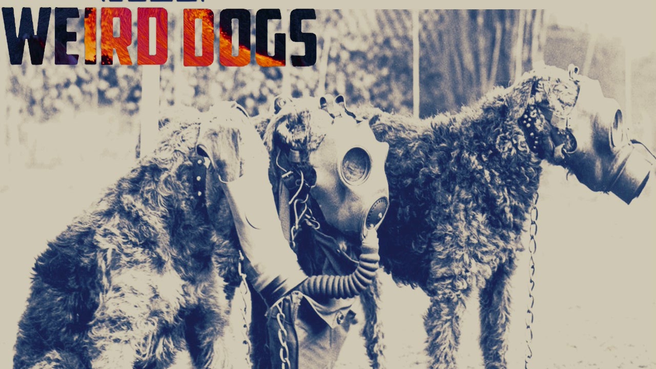Monster - Weird Dogs (Demo)