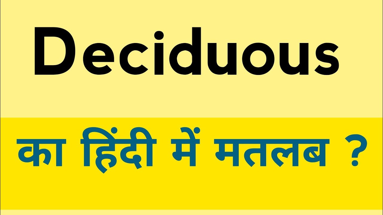 Deciduous meaning in hindi | Deciduous ka matlab kya hota hai - YouTube