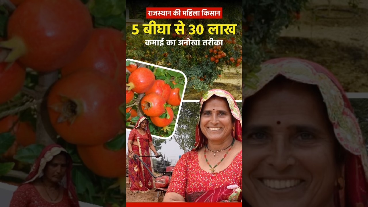 30 lacks from 1.25 acresWatch how this woman reaped success in ...