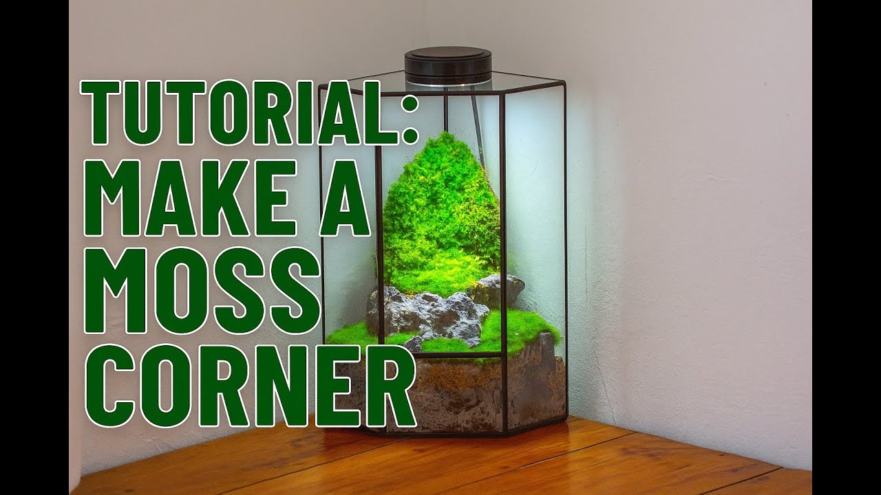 how to make a live moss corner: building video - YouTube