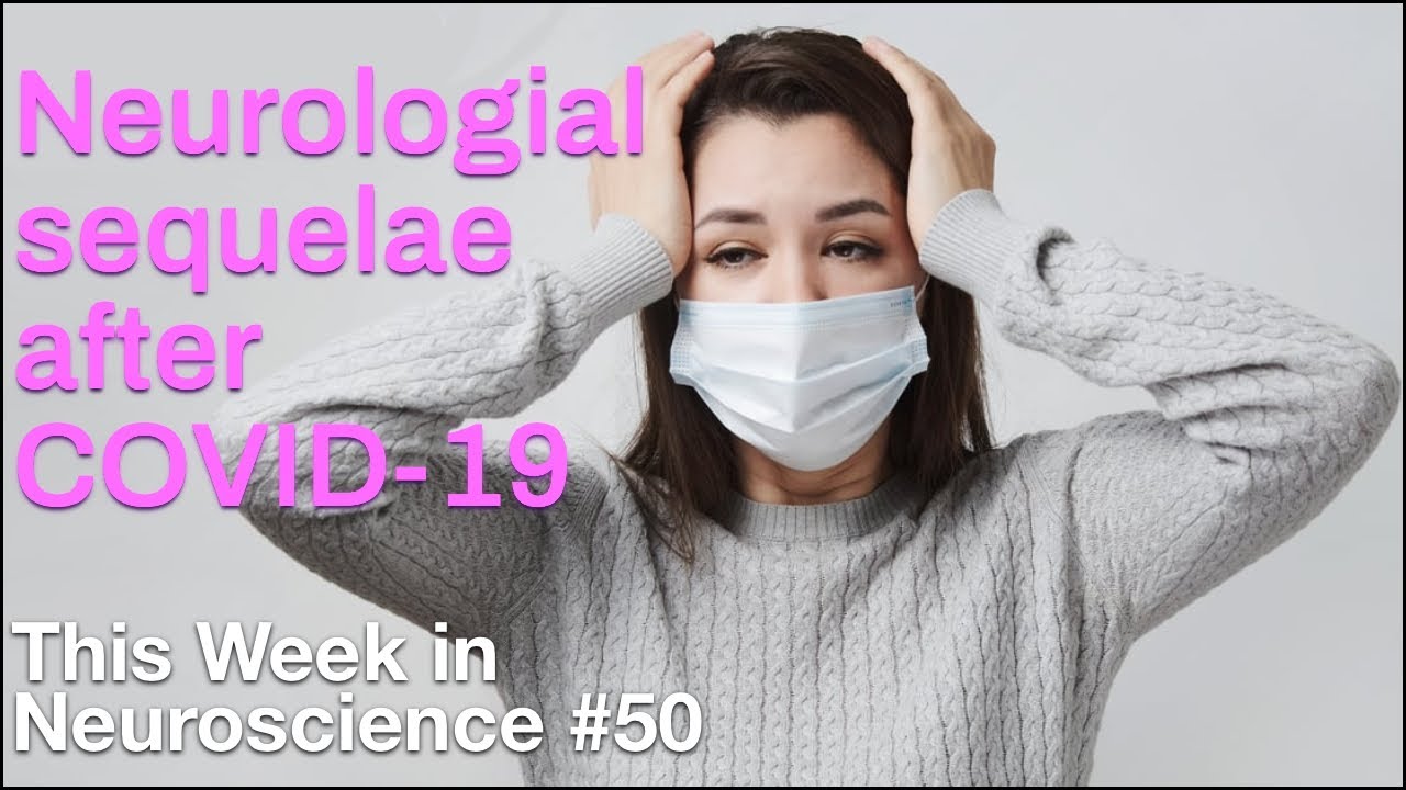 TWiN #50: Neurological sequelae after COVID-19 - YouTube