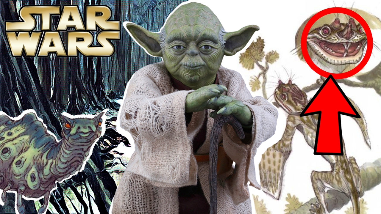 What Else Lived On Dagobah? - Star Wars Explained - YouTube