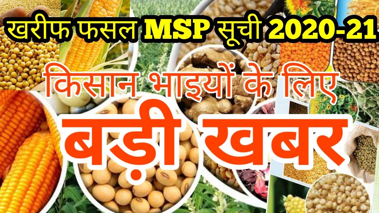 Kharif Crops MSP List 2020 21 Kheti Ki Shaan YouTube kharif-crops-msp-list-2020-21-kheti-ki-shaan-youtube