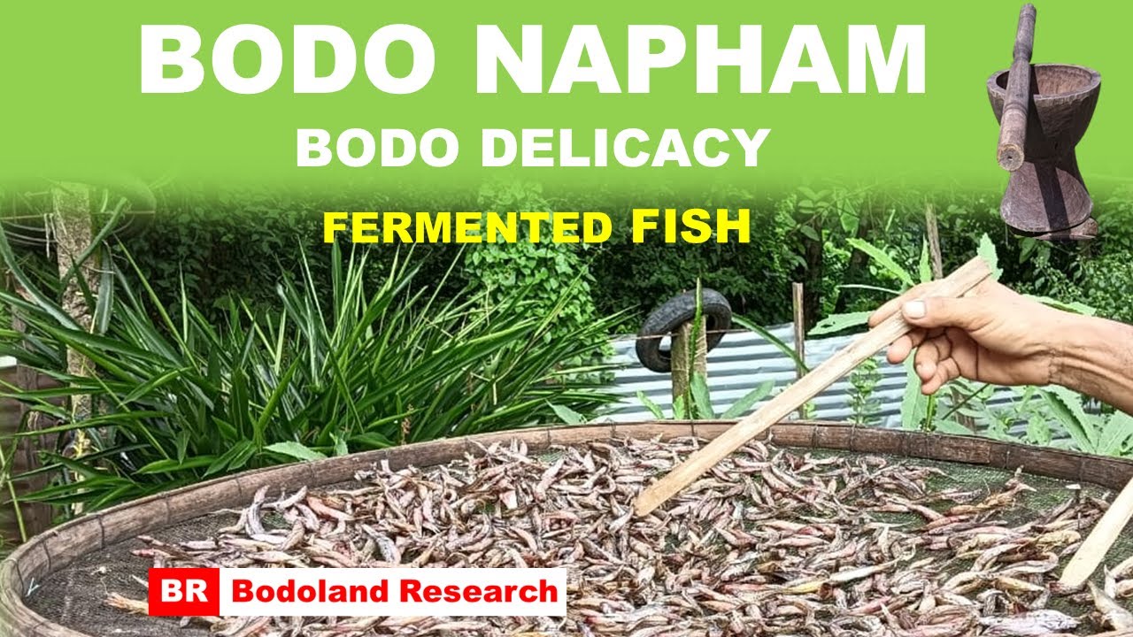 Bodo Napham, Fermented fFsh -Bodo Delicacy #bododelicacy # ...