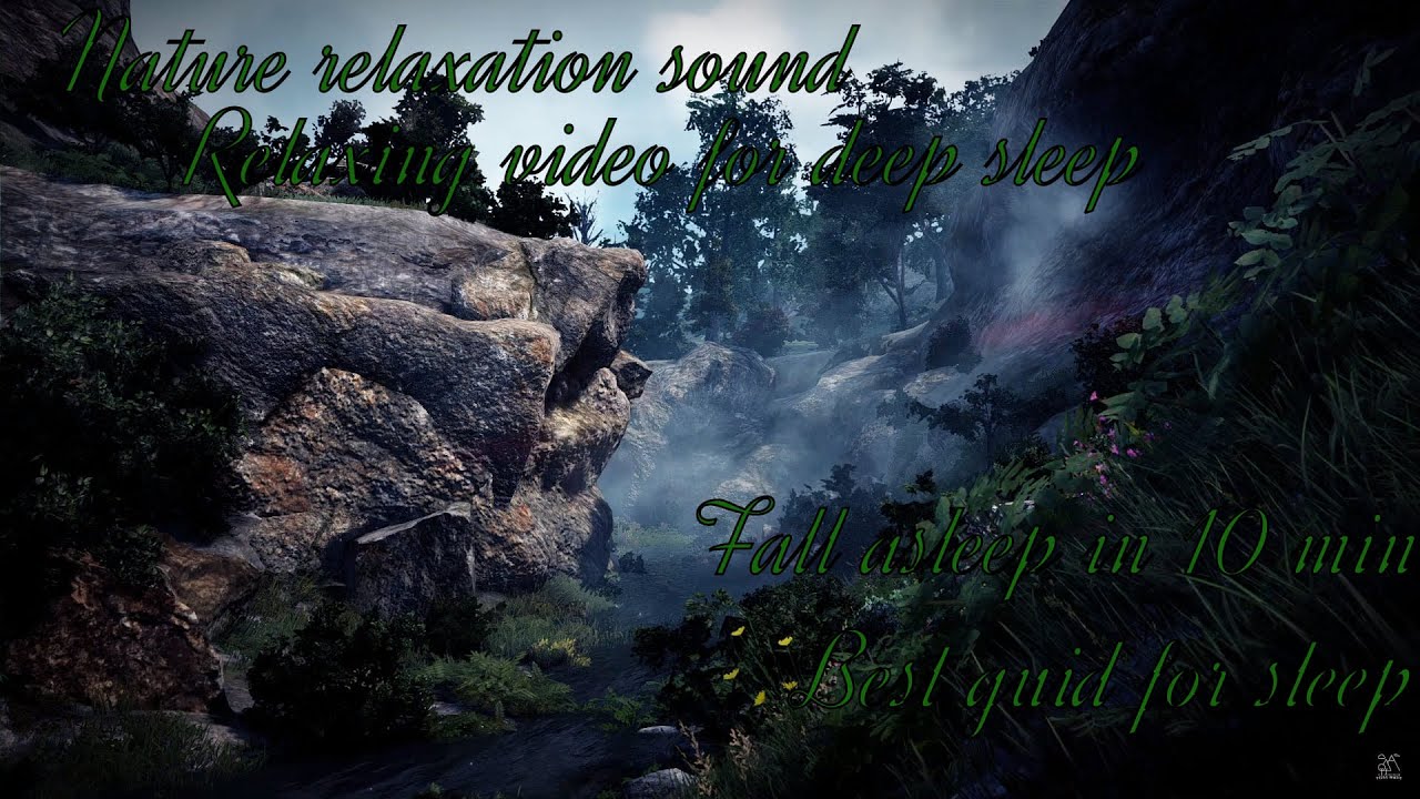 Relaxing music for stress relief | Soothing the heart, blood vessels ...