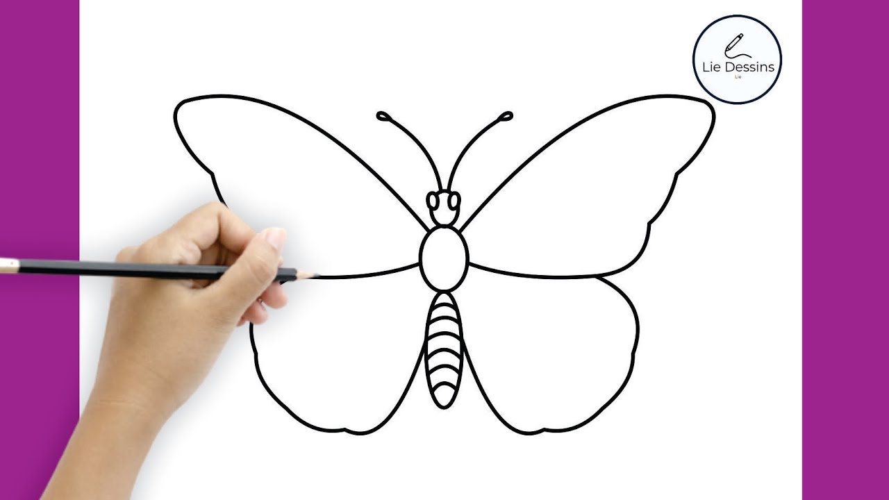 Apprenez à dessiner un papillon facilement - Guide étape par étape ...