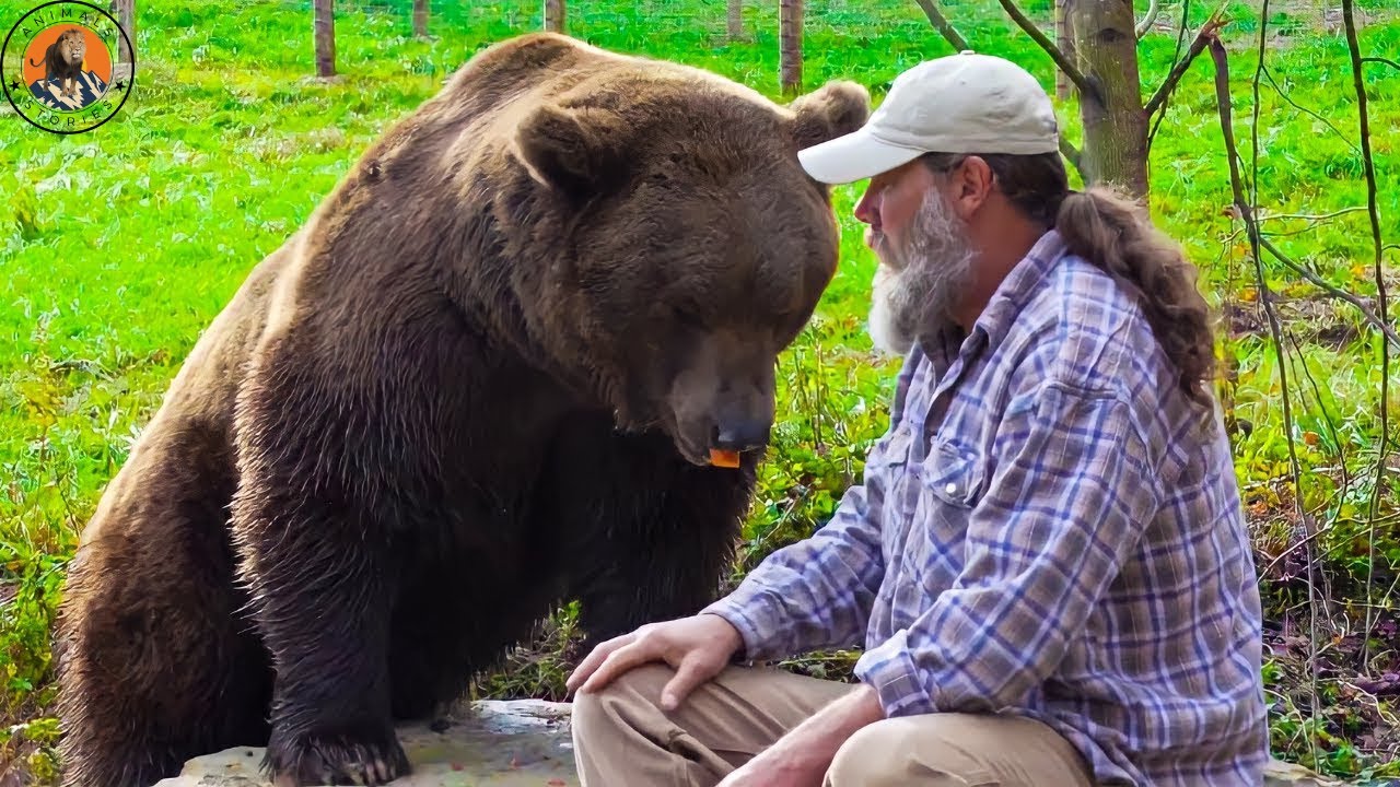 Encounter with a Crying Bear During Labor Leads to an Unbelievable Act ...