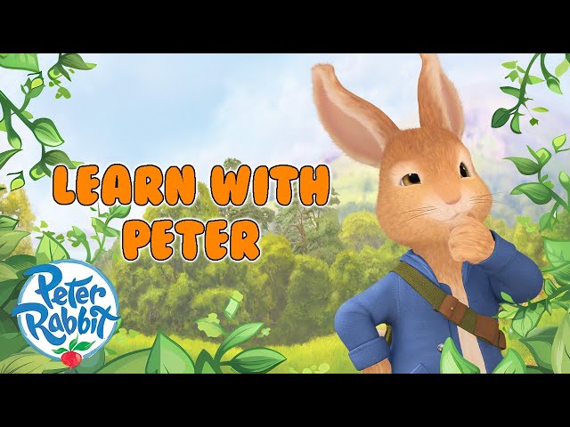 @OfficialPeterRabbit | Learning, Fun and Friendships 🐰💖📚 | 20+ Mins ...