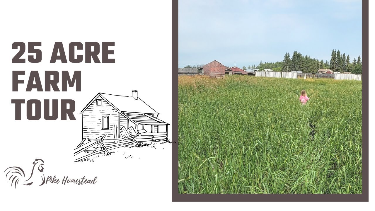 25 Acre Land Tour | First Look | Starting a Homestead - YouTube