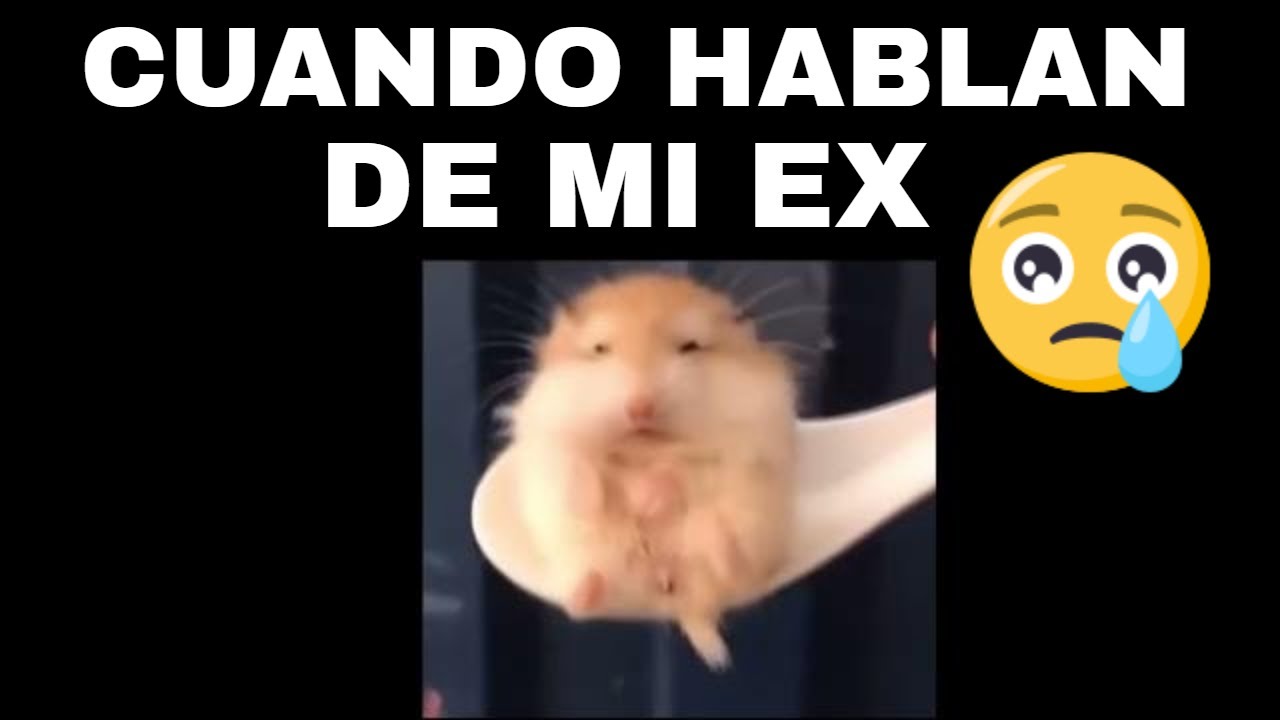 VIDEOS DE MEMES EX NOVIA - YouTube