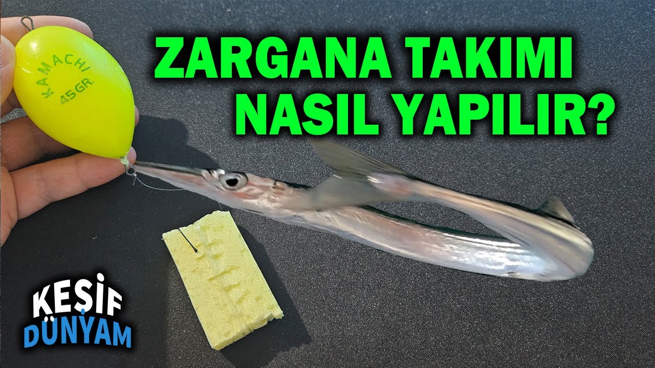 Zargana Takımı Nasıl Yapılır? | Zargana Avı Teknikleri Tüm Detaylar ...