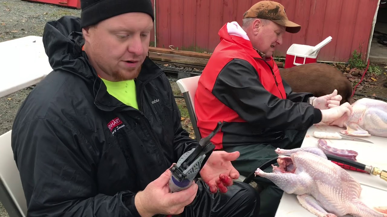 How we BUTCHER TURKEYS for Thanksgiving | The Poultry Gardener - YouTube