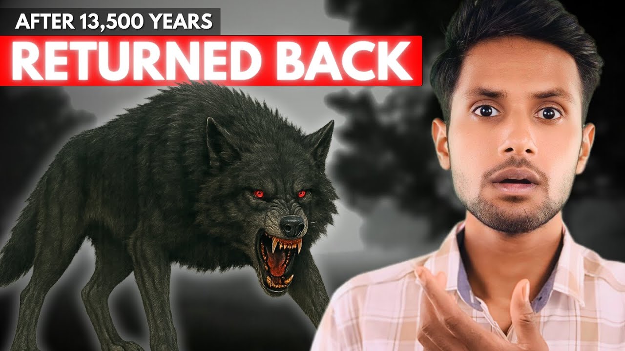 Dire Wolf Brought Back to Life 😣 - YouTube