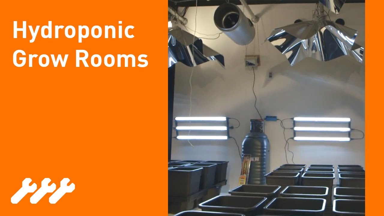 #45 - How to setup an indoor Hydroponic grow room, get the biggest ...