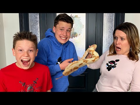 I finally bought a SNAKE and SURPRISED my MOM!