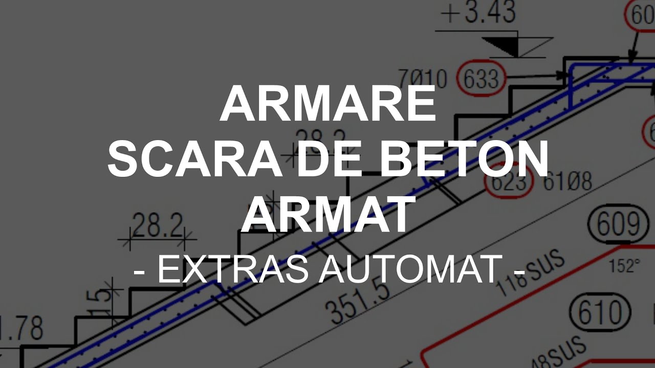 Armare scara de beton armat (desen realizat direct la scară 1:20 ...