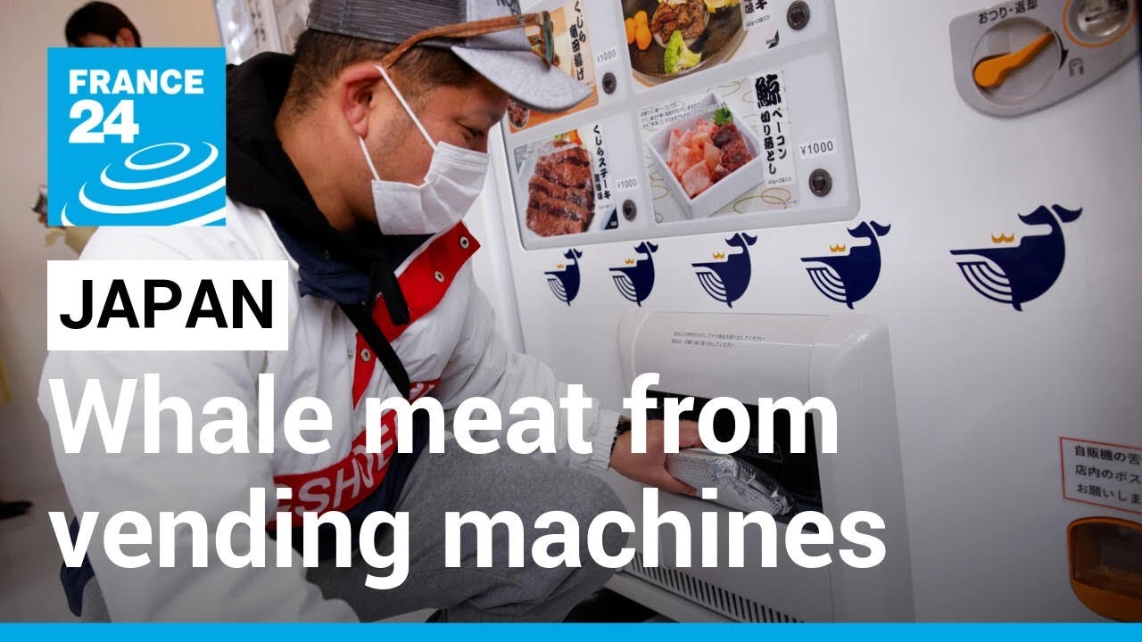 Japan: Will whale meat vending machines reverse decline in demand ...