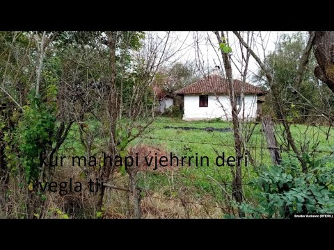 kur e hapi vjehrri deren vegla tij me tronditi