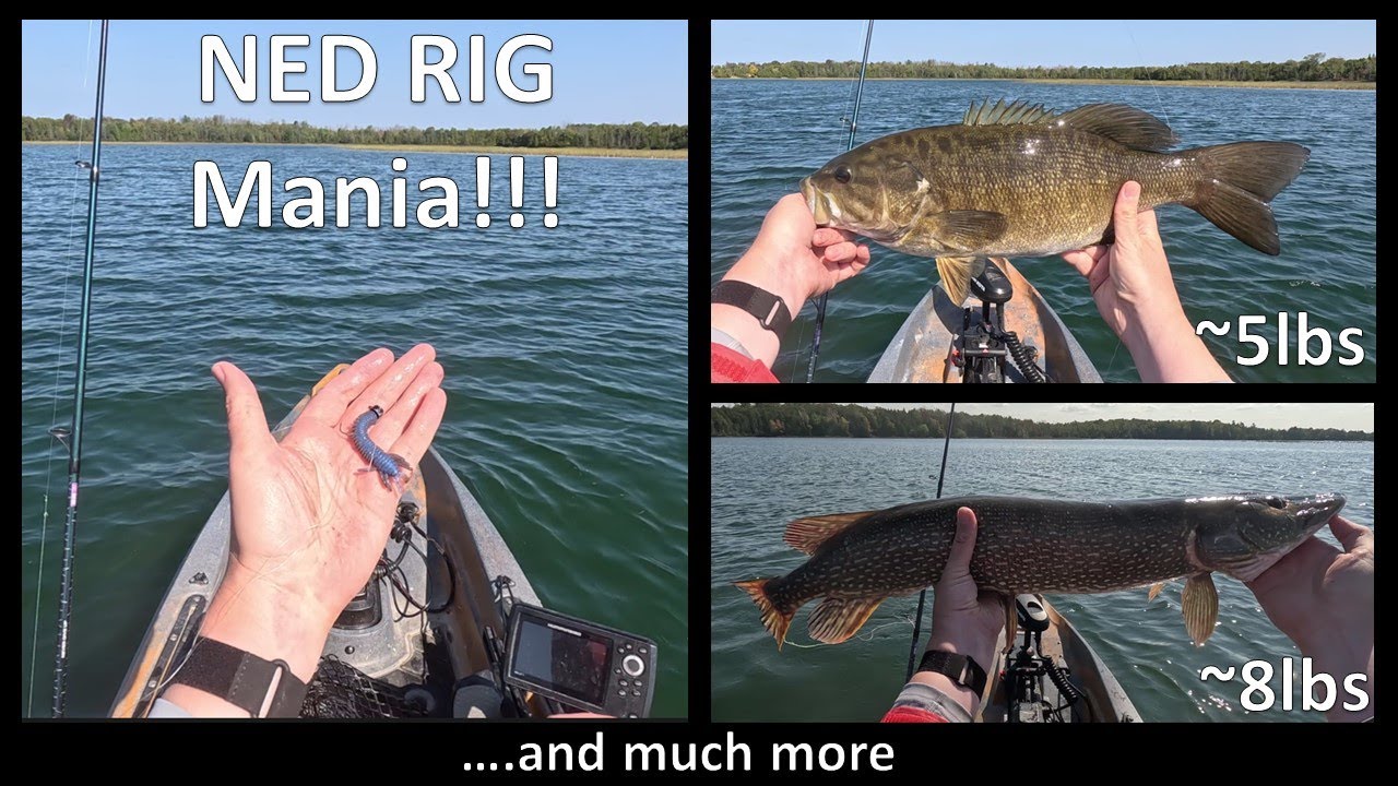 Learning how to use the Ned Rig - YouTube