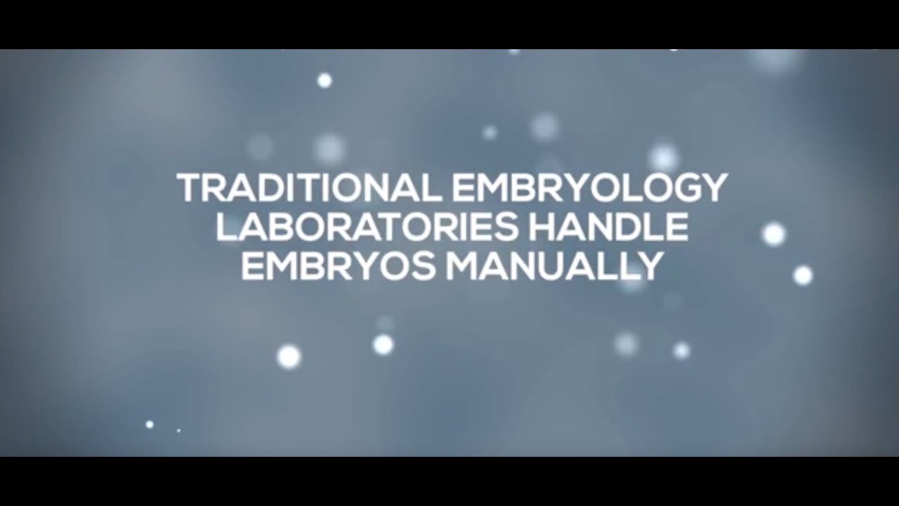 Embryo Handling in the CHR Lab - YouTube