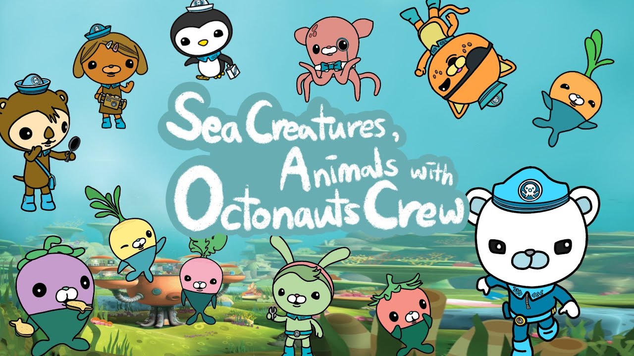 Sea Creatures and Animals with Octonauts Crew | Octonauts Friends ...