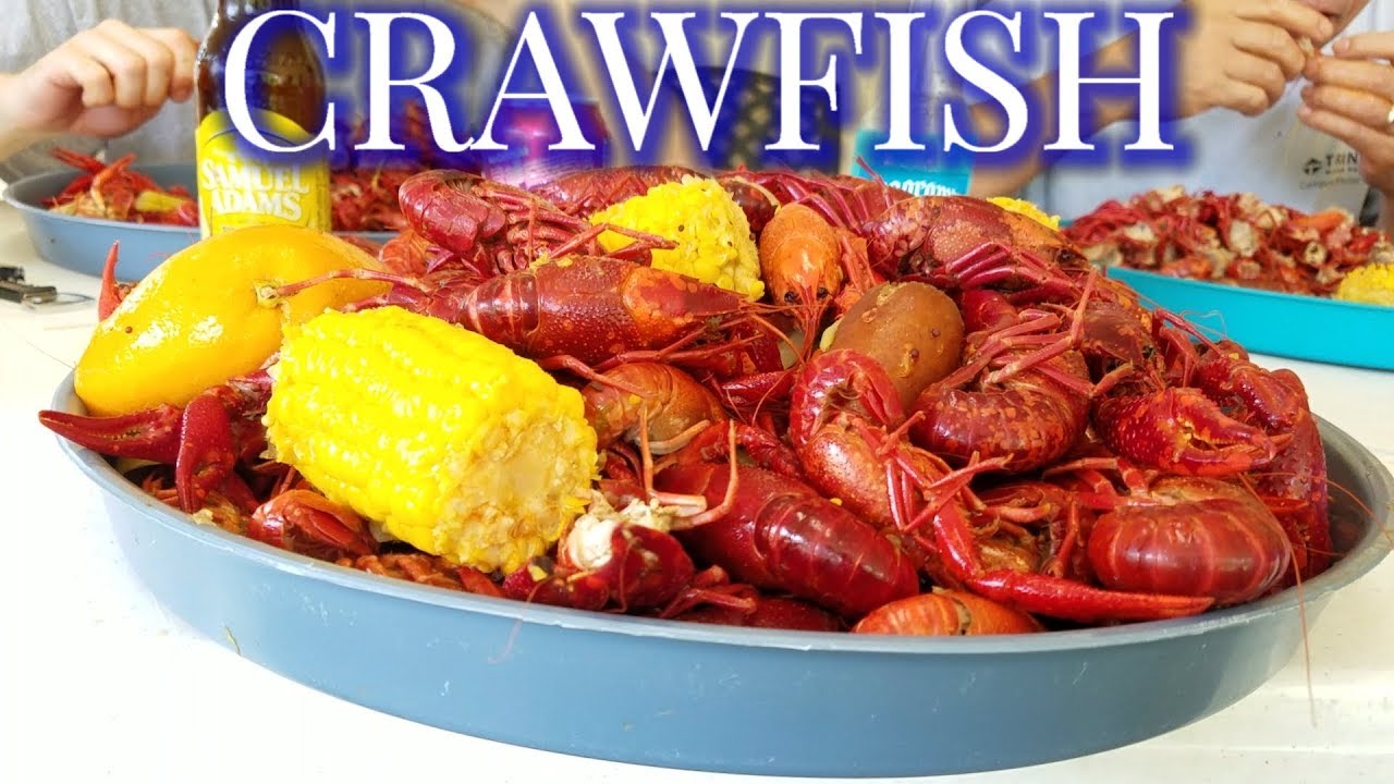 AMAZING FEAST WITH THE BEST CRAWFISH COOKER IN THE MARKET (2019) - YouTube