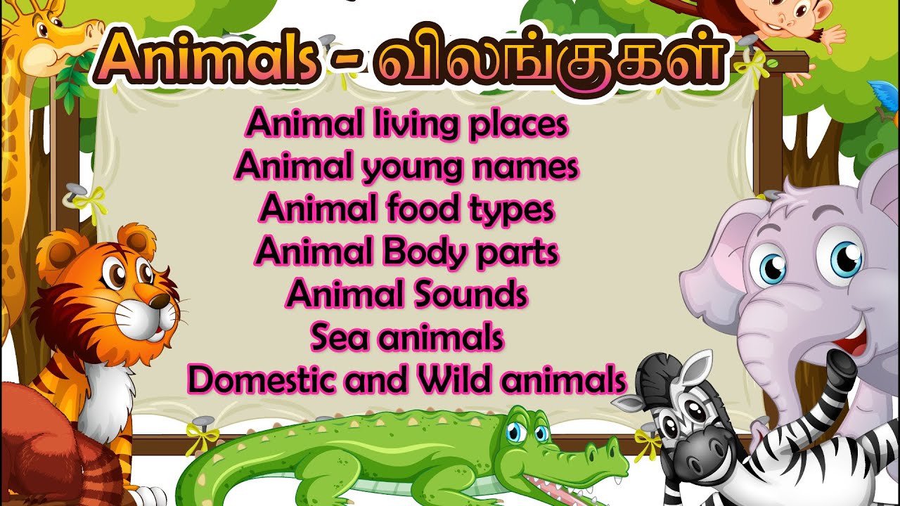 Learning Animals in Tamil and English For kids - YouTube