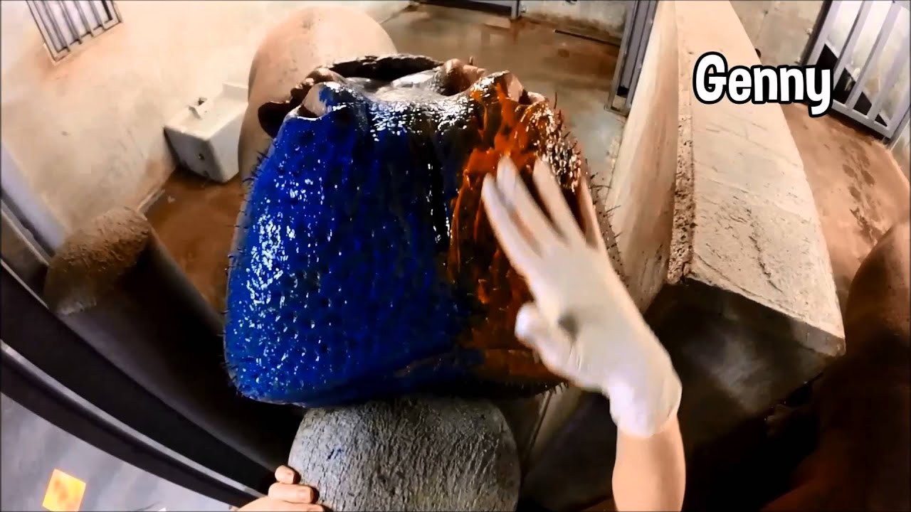 How do Button and Genny Paint - YouTube