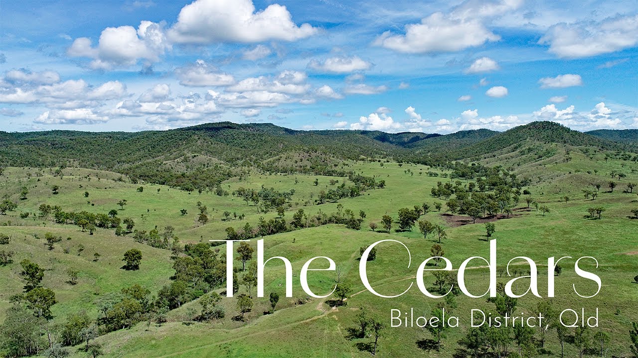 ‘The Cedars’, Biloela, Central Qld - YouTube