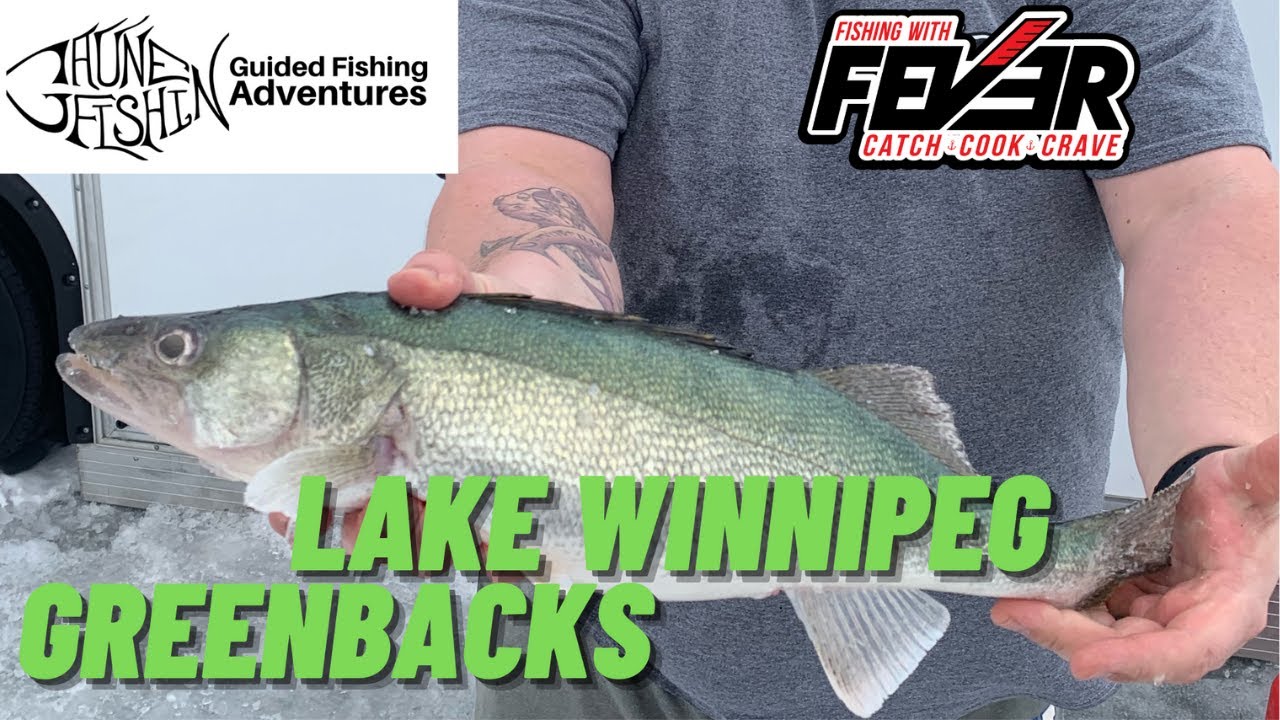 Gaune Fishing 2022 late March Lake Winnipeg - YouTube