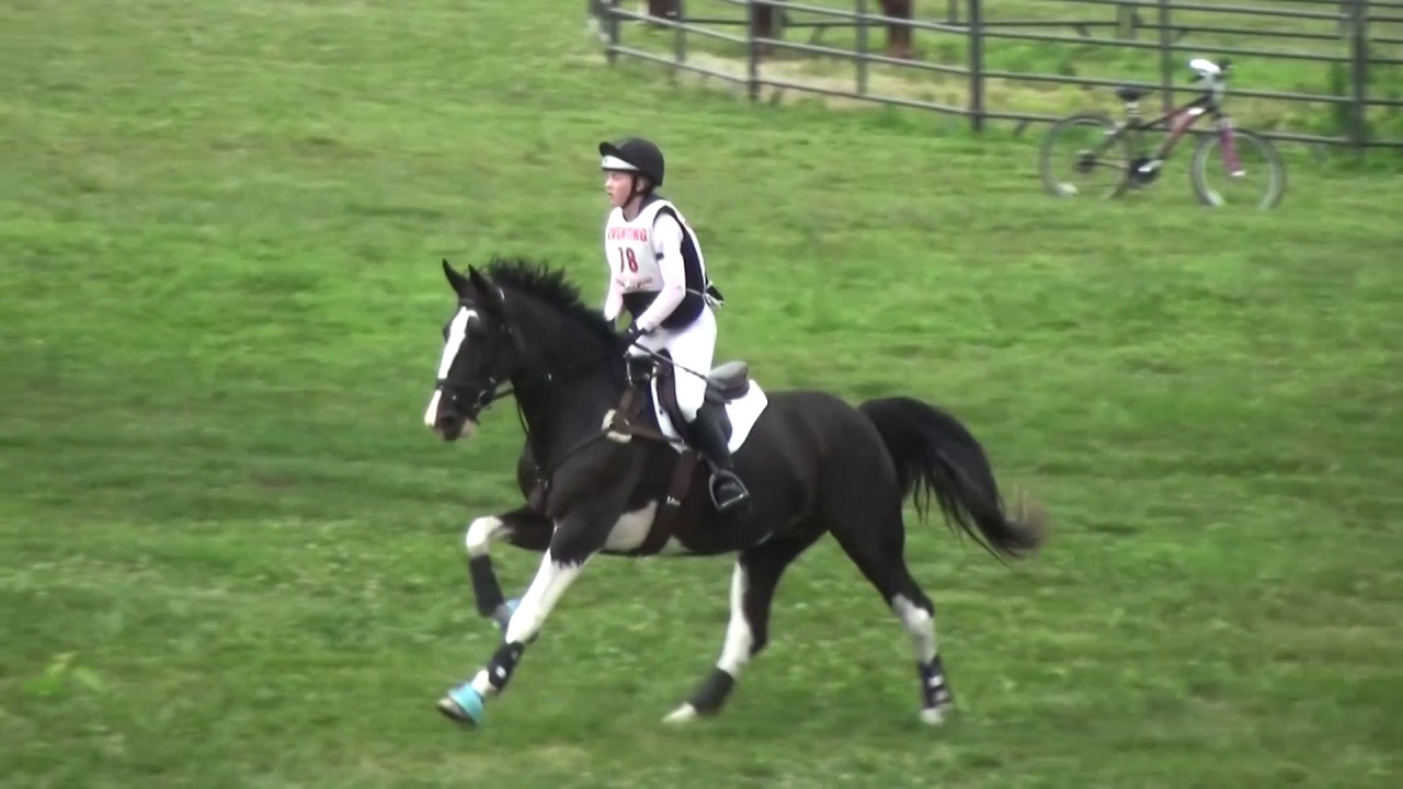 Corey Jarman & O'Meara Pony Club Championships 2017 - YouTube